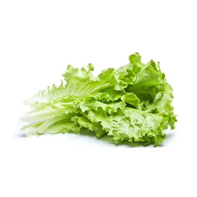 Jual Daun Selada Sayur Lettuce Salada Segar 250 gram SAYUR ONLINE MONA ...
