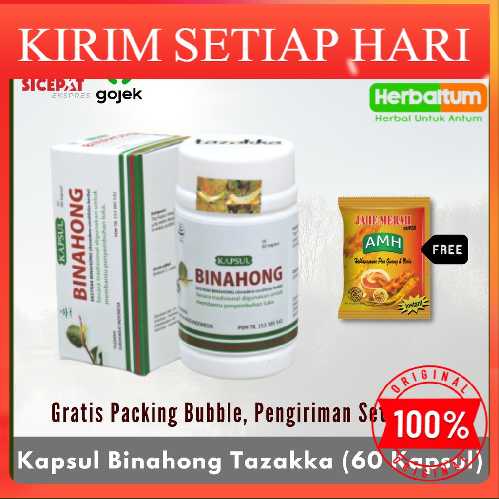 Jual [ASLI] HERBAL NYERI SENDI / KAPSUL EKSTRAK DAUN BINAHONG TAZAKKA ISI 60 KAPSUL | Shopee ...