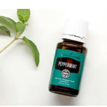 Jual Peppermint Oil 15 Ml Young Living Sealed & Original Suhaylah20 | Shopee Indonesia