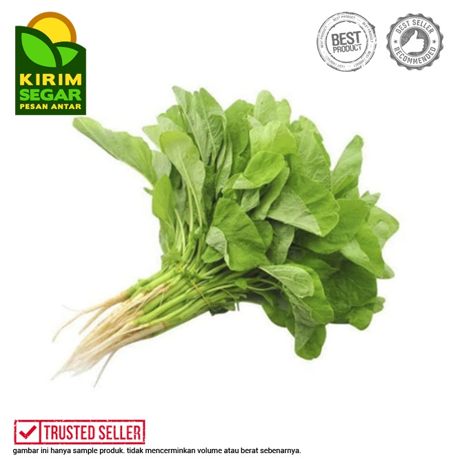 Jual Bayam Hijau Segar / Bayam / Sayur Bayam / Green Spinach / Ikat ...