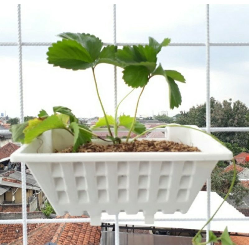 Jual pot argo 02 panjang 25 cm, pot dinding, pot tempel, tamaman ...