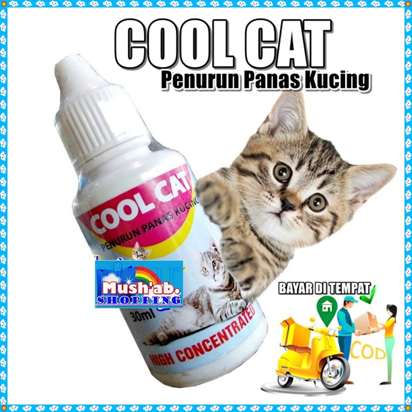 Jual Cool Cat Obat Kucing Penurun Panas Kucing Obat Demam Pilek Flu ... Jual Cool Cat Obat Kucing Penurun Panas Kucing Obat Demam Pilek Flu ...