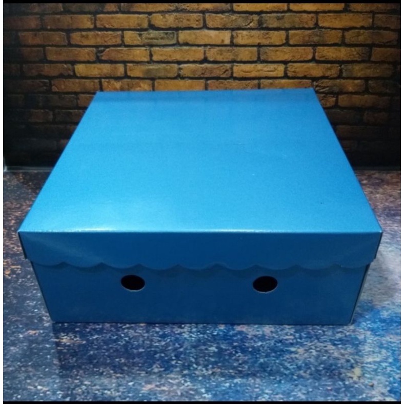 Jual Box nasi/kotak nasi warna biru 20x20 | Shopee Indonesia