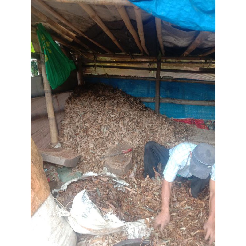 Jual Media daun bambu awi 25 kilo untuk segala jenis tanaman dan buah ...
