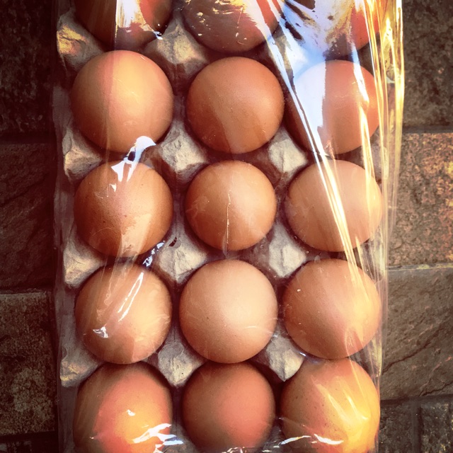 Jual Telur ayam Besar isi 15 pcs | Shopee Indonesia
