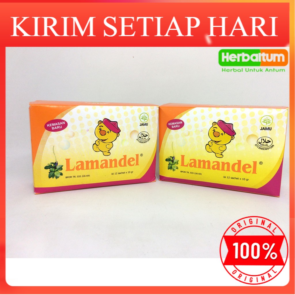 Jual Lamandel Box - Obat Herbal Amandel Kemasan Kotak (isi 12 Sachet ...