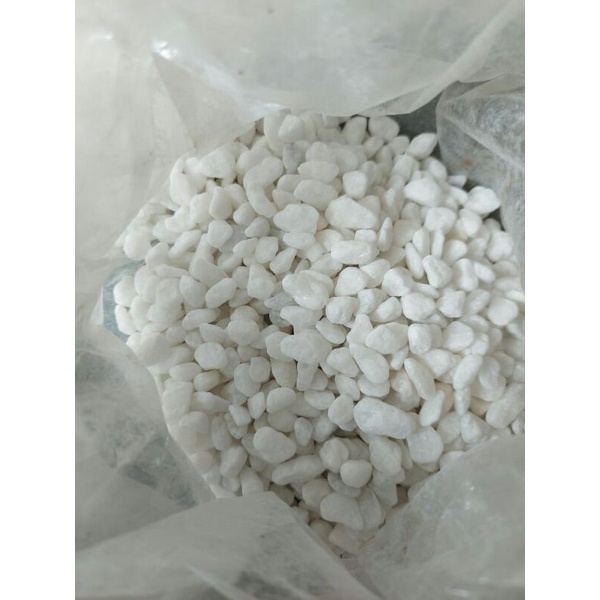 Jual Batu Hias Untuk Vas Bunga Mini 100 gram | Shopee Indonesia