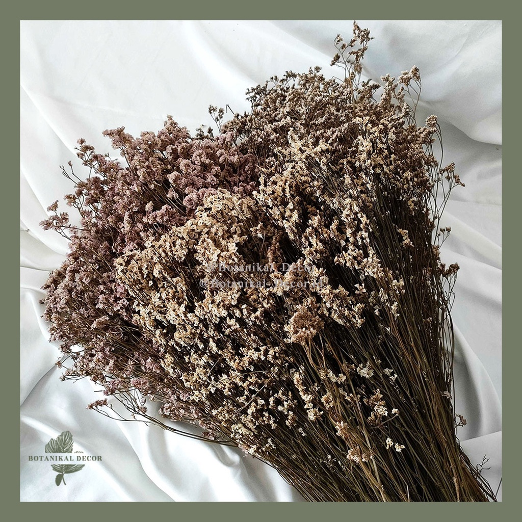 Jual Dried Flowers Limonium Bunga Kering Asli Murah Pack Hiasan