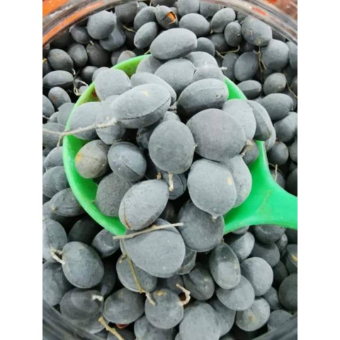 Jual KedaiBenih Buah Asam Keranji Kranji ~ 1 Buah | Shopee Indonesia