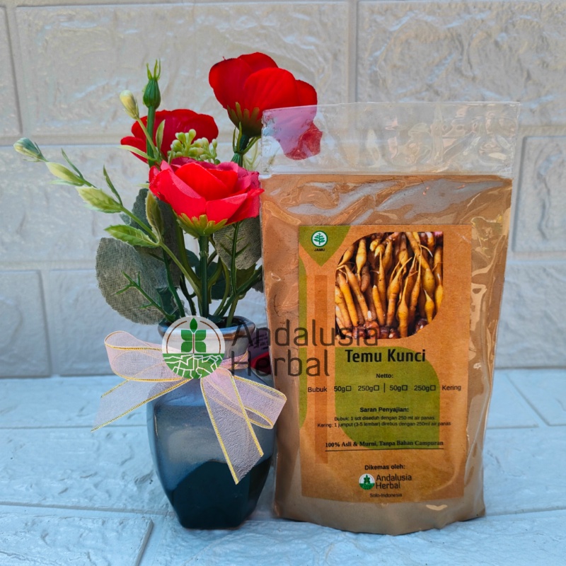 Jual Serbuk Temu Kunci 100 g Simplisia Finger Root Powder Bubuk ...