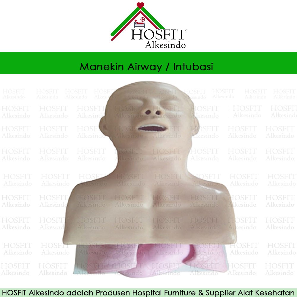 Jual Manekin Airway / Intubasi / ETT | Shopee Indonesia