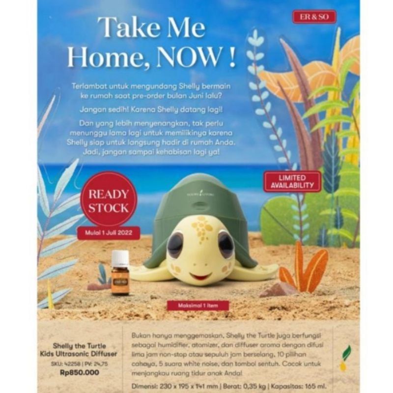 Jual Shelly The Turtle Diffuser Original Young living | Shopee Indonesia