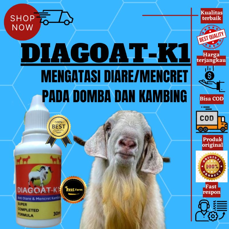 Jual OBAT MENCRET DIARE TERNAK KUSUS DOMBA DAN KAMBING DIAGOAT-K1 SUPER ...