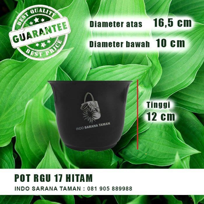 Jual POT RGU 17 HITAM | Pot Hitam Polos | Pot Polos | Pot Tanaman | Pot ...