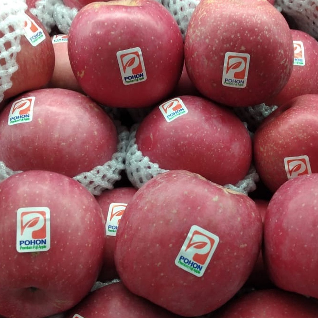 Jual APEL FUJI POHON BLUSH 15KG (PACK) +/- 1 KG (1965) | Shopee Indonesia