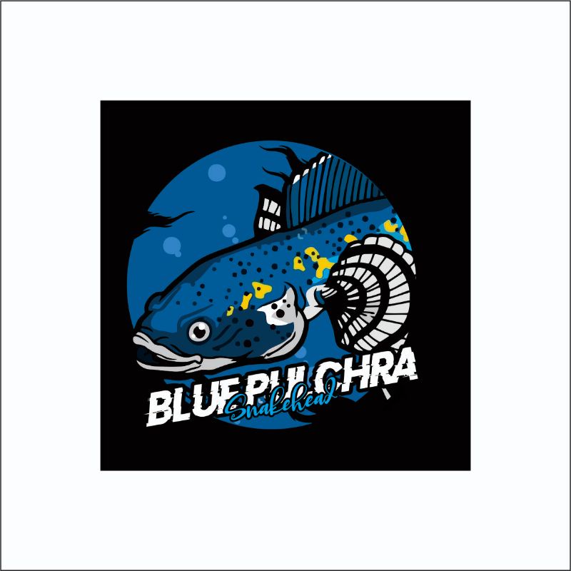 Jual Stiker Ikan | Channa Pulchra#2 | Shopee Indonesia