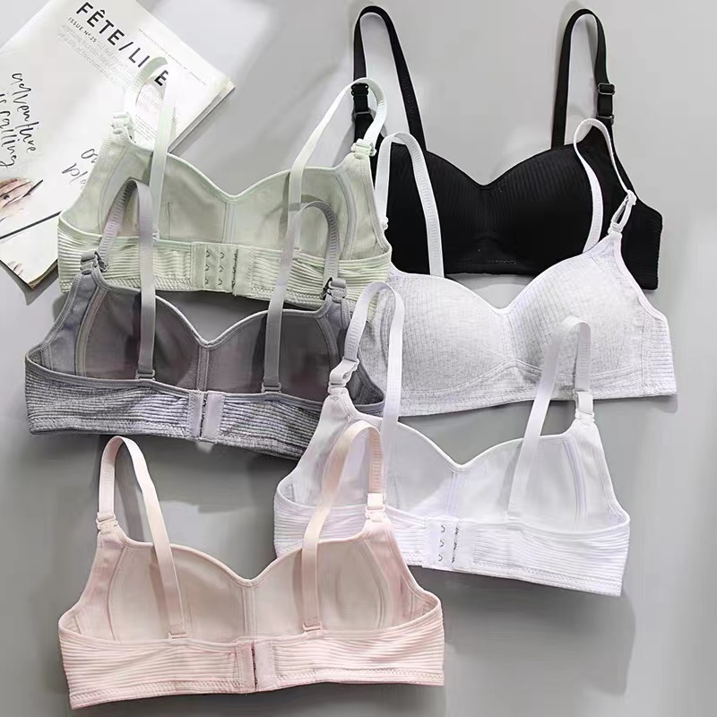 Jual Miss curiosity BH Bra motif garis lurus Push Up Style Senam Zumba ...