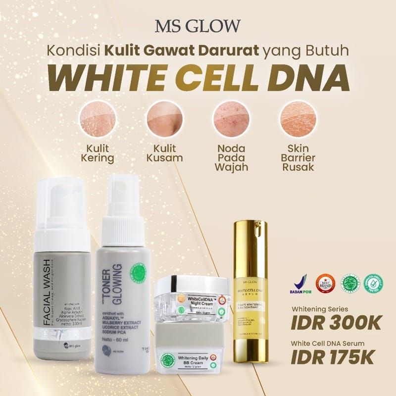 Jual Paket wajah white cell DNA ms glow night cream white cell DNA ...