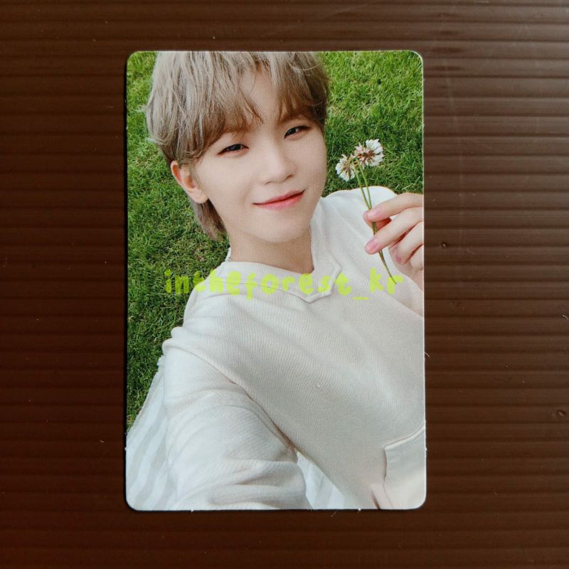 Jual PC / PHOTOCARD SEVENTEEN ALBUM ATTACCA OP1 OP2 OP3 (WONWOO DK WOOZI HOSHI JUN JEONGHAN DINO ...