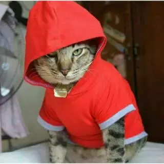 Produk Baju Kucing Cimut | Shopee Indonesia
