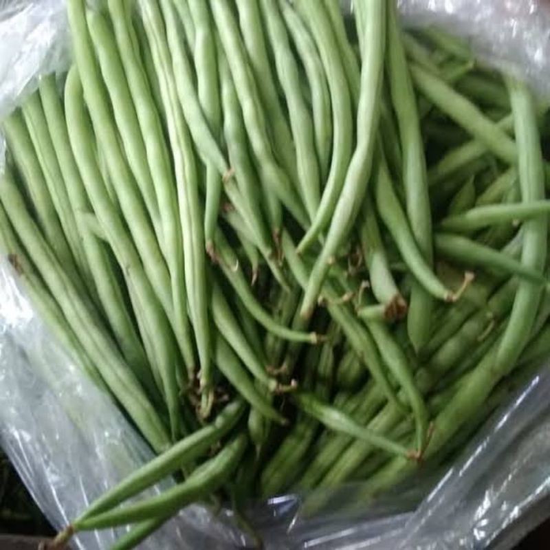 Jual Buncis / 1 kg | Shopee Indonesia