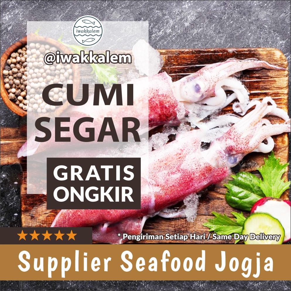 Jual CUMI-CUMI SEGAR YOGYAKARTA | Shopee Indonesia