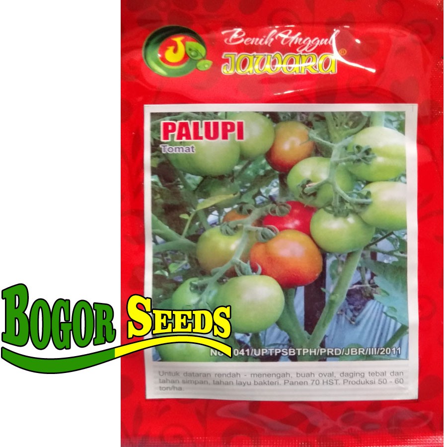 Jual bibit tomat unggul palupi 5gram (±1750 biji ) | benih tomat super ...