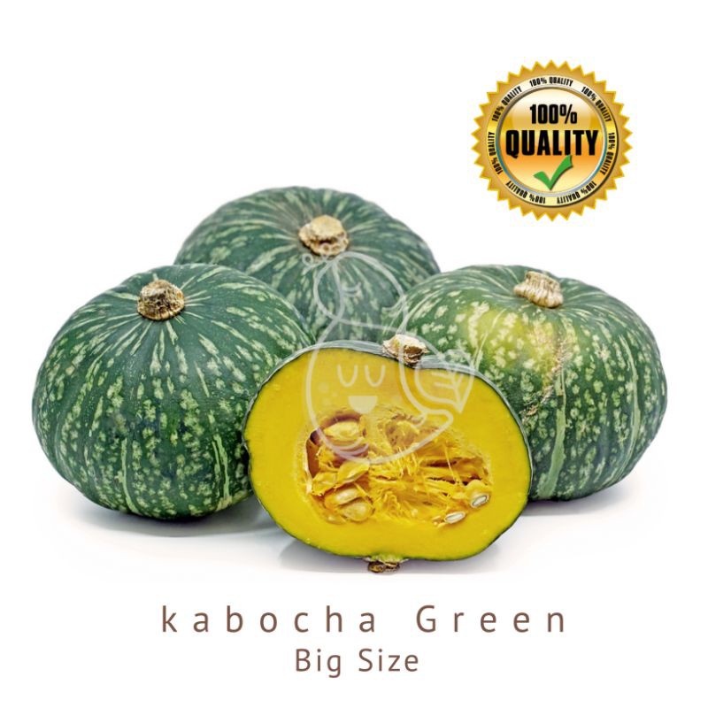 Jual Kabocha Hijau 1Pcs 800g - 1000g / Ubimart Official | Shopee Indonesia
