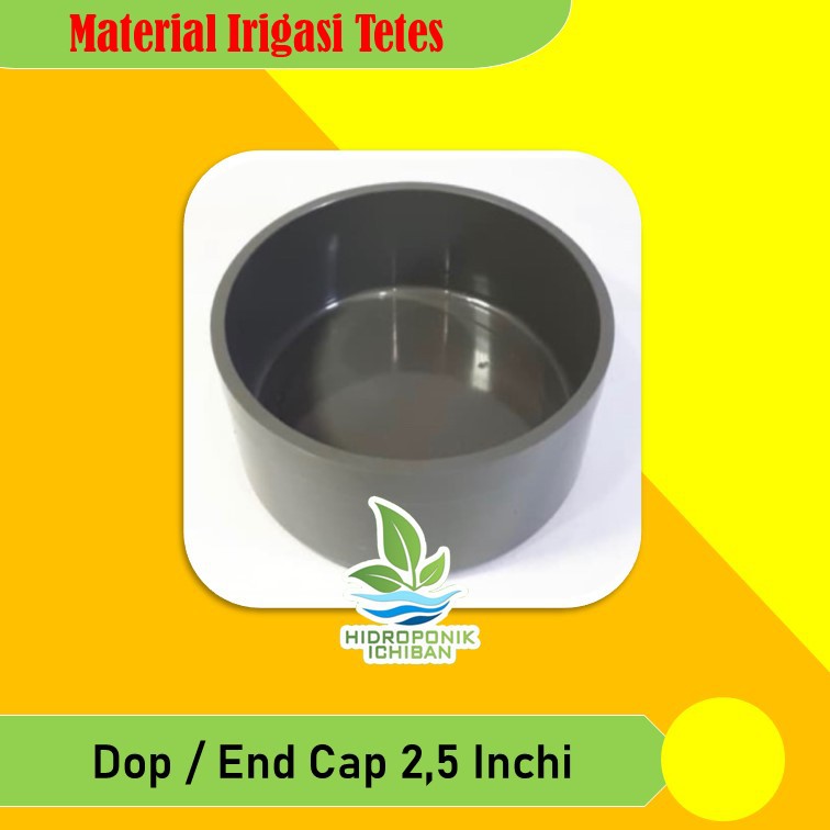 Jual DOP END CAP 2,5 Inchi untuk Tutup Pipa Hidroponik | Shopee Indonesia