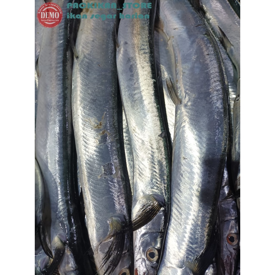 Jual Ikan Parang 1Kg Ikan Segar Hasil Laut Segar | Shopee Indonesia