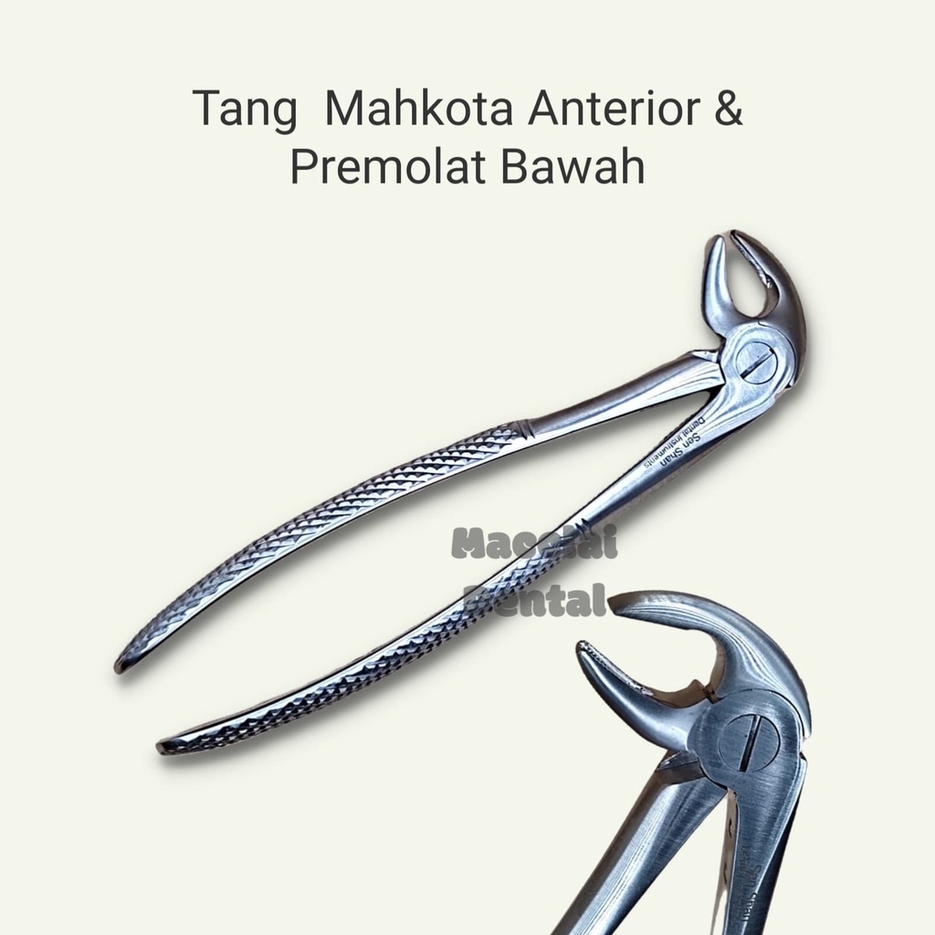 Jual DENTAL TANG CABUT GIGI DEWASA ECER / PER PCS TOOTH FORCEP SATUAN ...