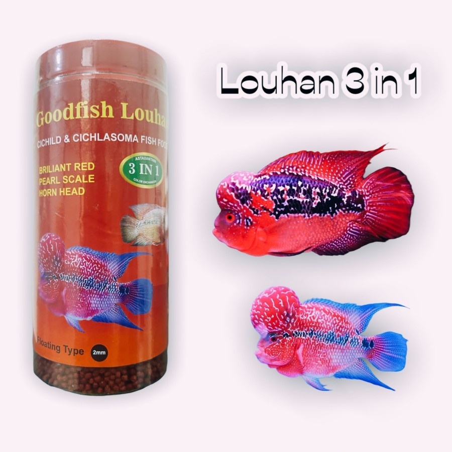 Jual MAKANAN IKAN LOUHAN MUTIARA LOUHAN 3 IN 1 100 GRAM | Shopee Indonesia