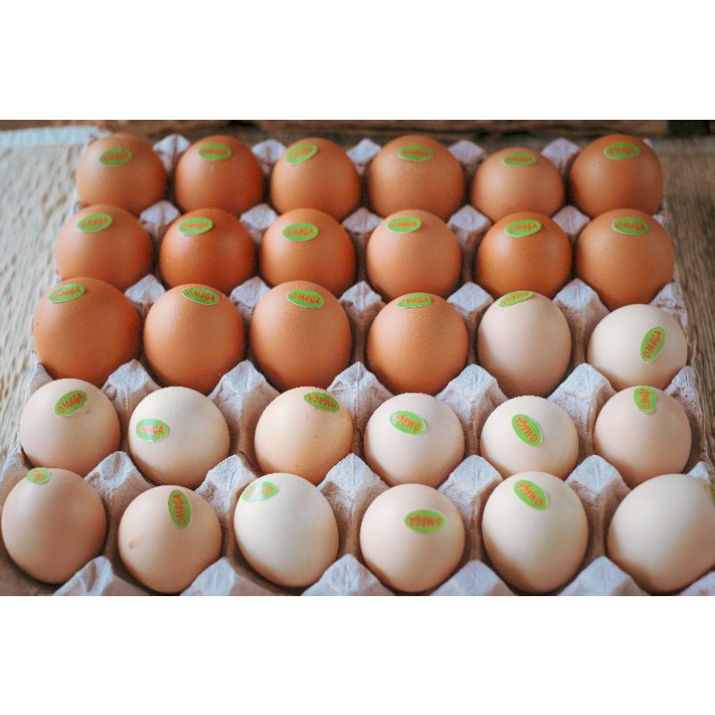 Jual telur paket B ( telur negri omega 1kg + telur kampung omega 14 ...