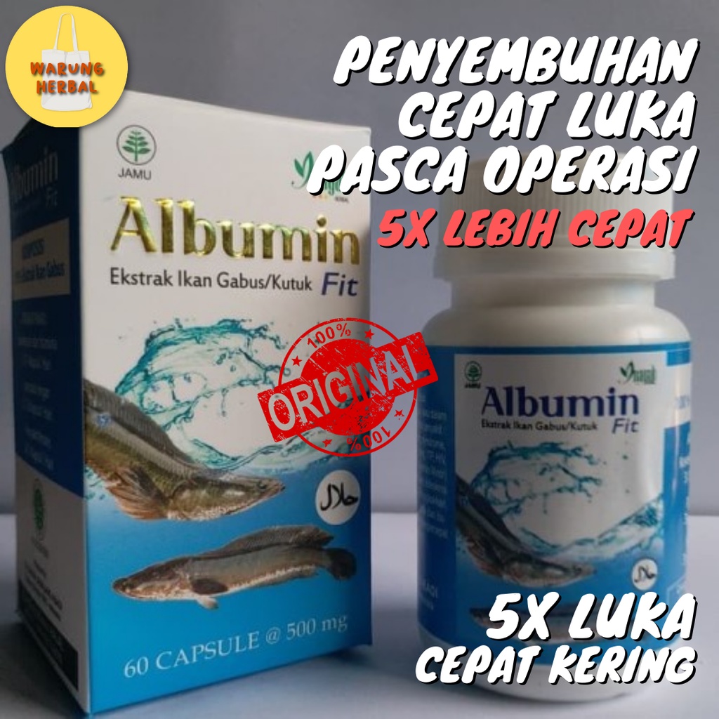 Jual [COD] ORIGINAL KAPSUL ALBUMIN FIT PREMIUM 5X CEPAT SEMBUH PASCA OPERASI - EKSTRAK ALBUMIN ...
