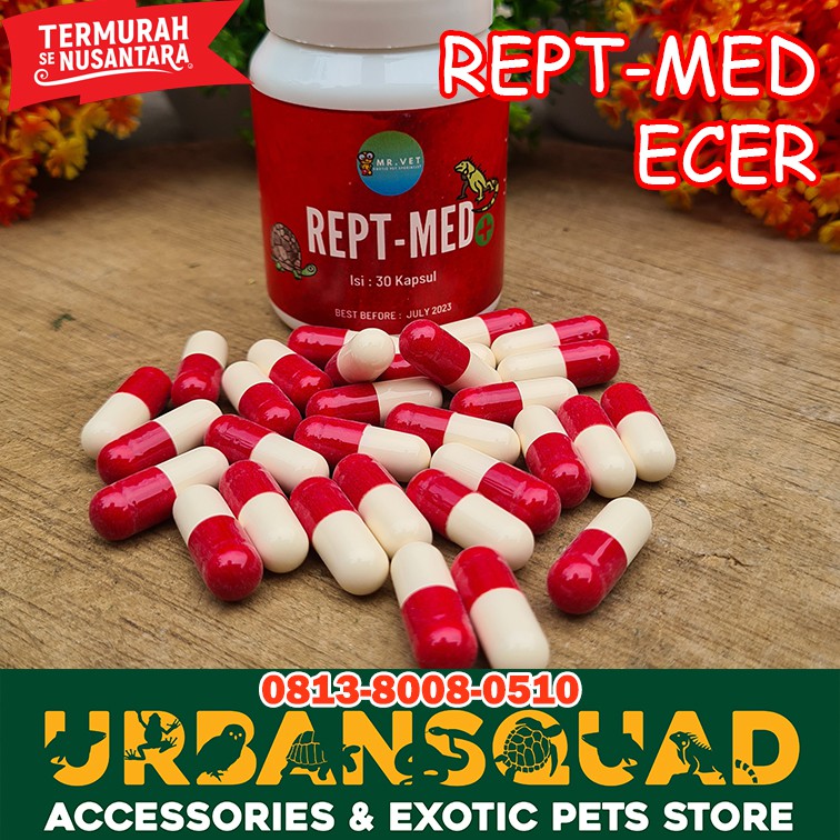 Jual REPT-MED ECER 5 KAPSUL OBAT LEMAS PILEK REPTIL TORTO SULCATA ...