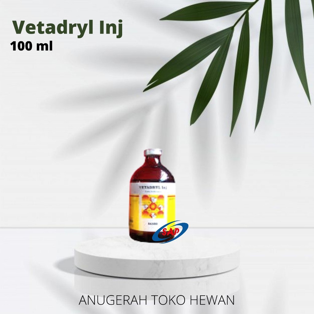 Jual VETADRYL INJEKSI 100 ml - SANBE - Obat Antihistamin Hewan | Shopee ...