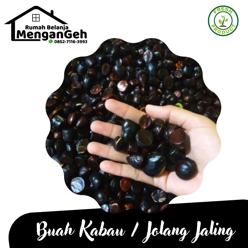 Jual Buah Kabau Jering Kuwaw Jolang Jaling Tua Sahabat Pete Jengkol ...