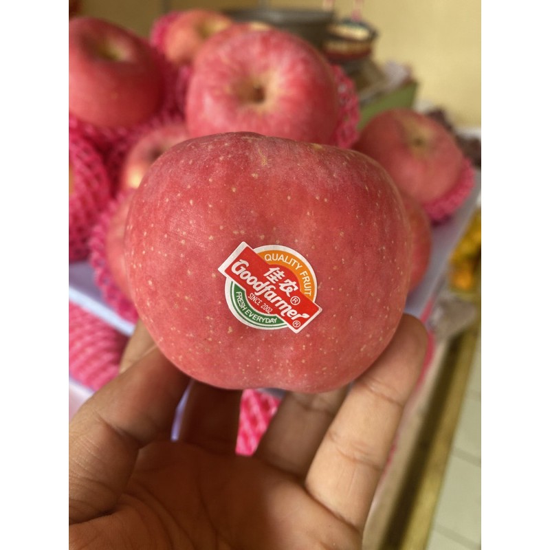 Jual Buah Apel Fuji fresh import 1kg | Shopee Indonesia