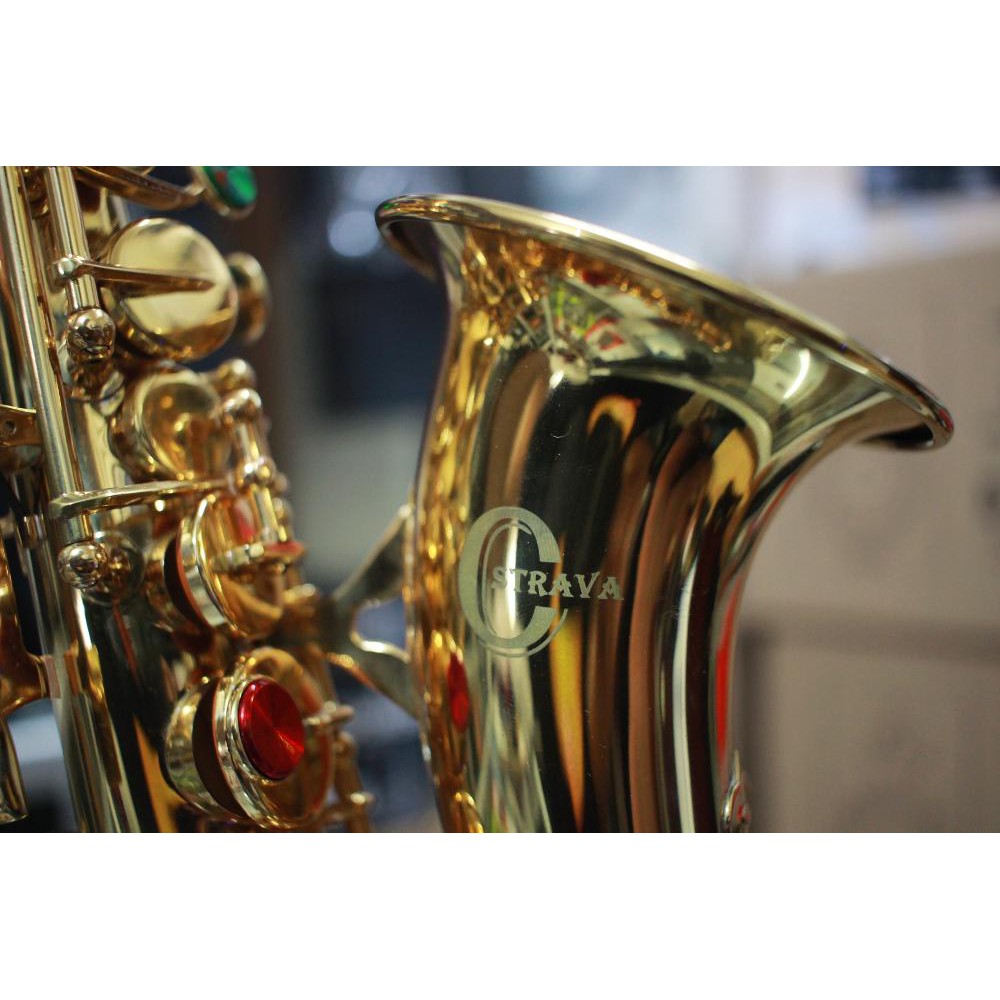 Jual Baby Saxophone Ostrava Soprano Gold | Shopee Indonesia