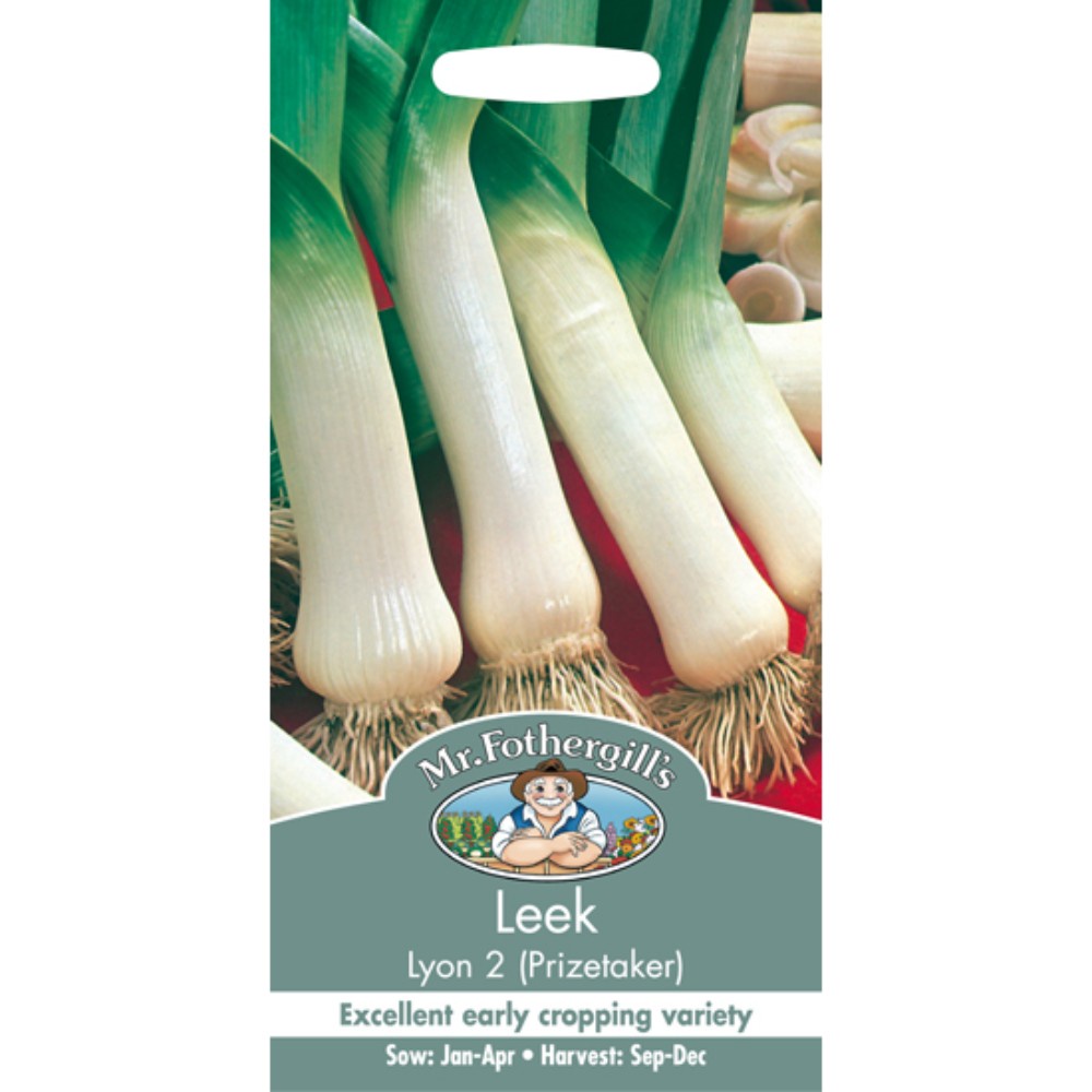 Jual Benih Mr.F Leek Lyon 2 ( Prizetaker ) | Shopee Indonesia