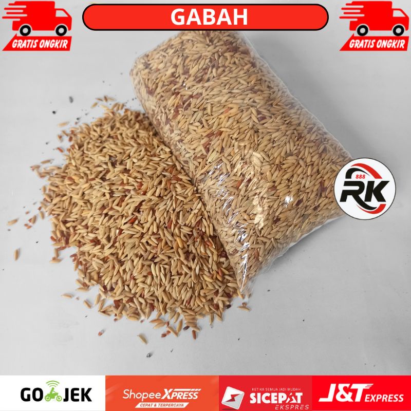 Jual GABAH BERAS MERAH KEMASAN 500GR - 1KG PAKAN AYAM BURUNG MERPATI ...