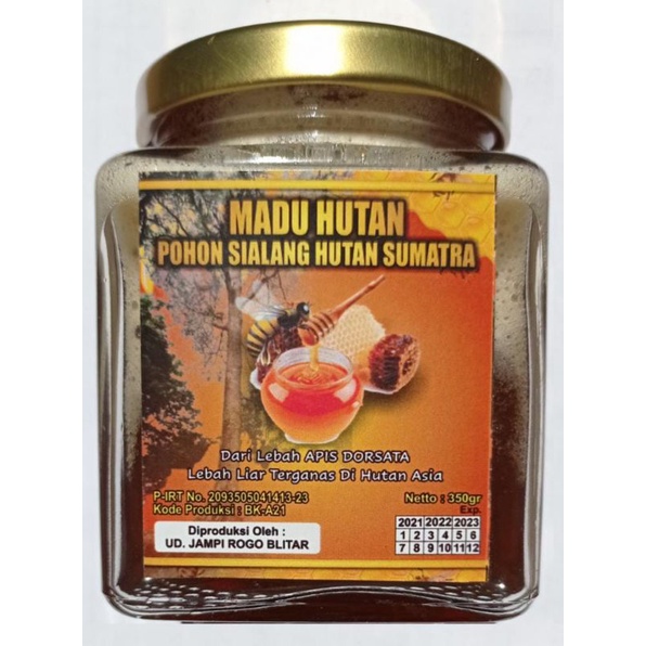 Jual Madu hutan pohon Sialang hutan Sumatra | Shopee Indonesia