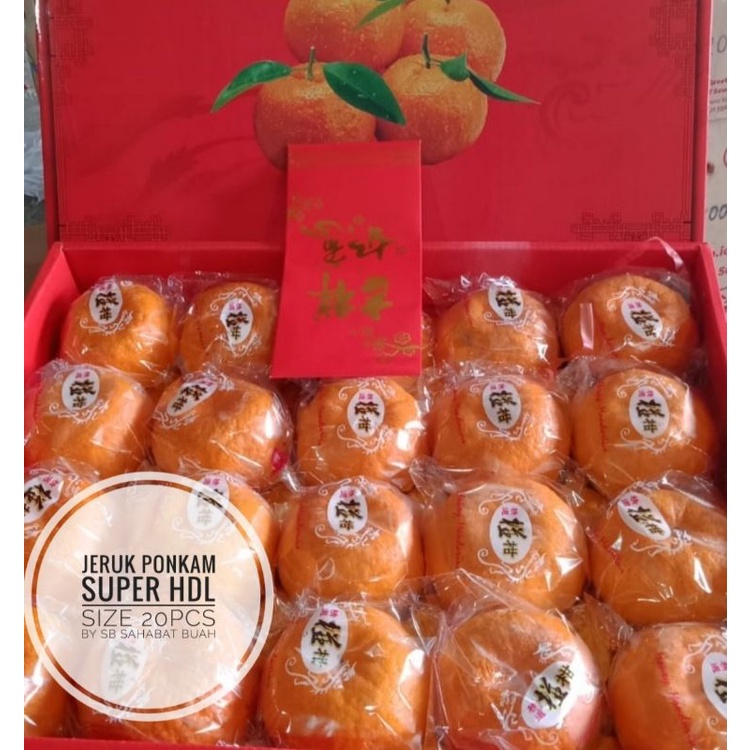 Jual BUAH JERUK PONKAM HDL SUPER SIZE 20 GIFT GROSIR 1 DUS | Shopee ...