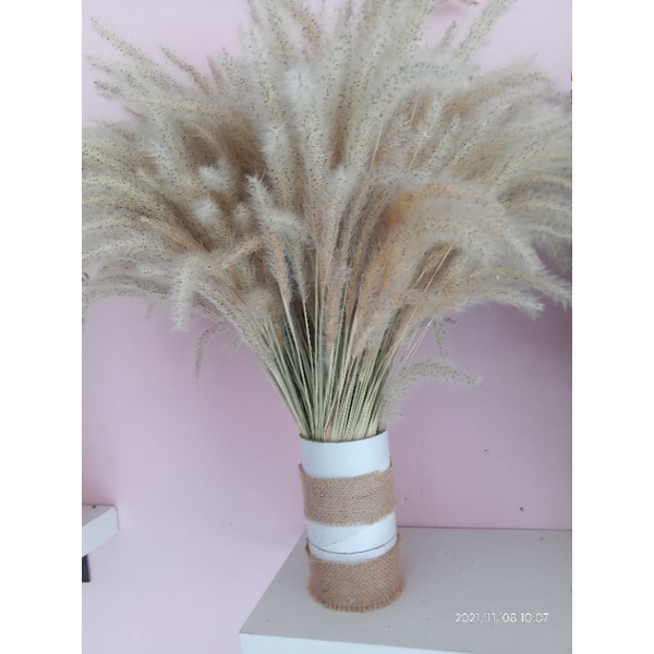 Jual (25 batang) BUNGA KERING ILALANG DRIED FLOWER HIAS DEKORASI ...