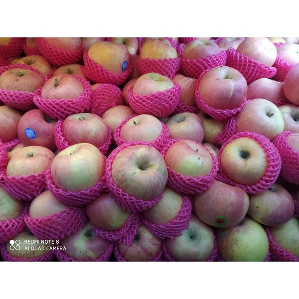 Jual Apel Fuji RRC 1kg | Shopee Indonesia