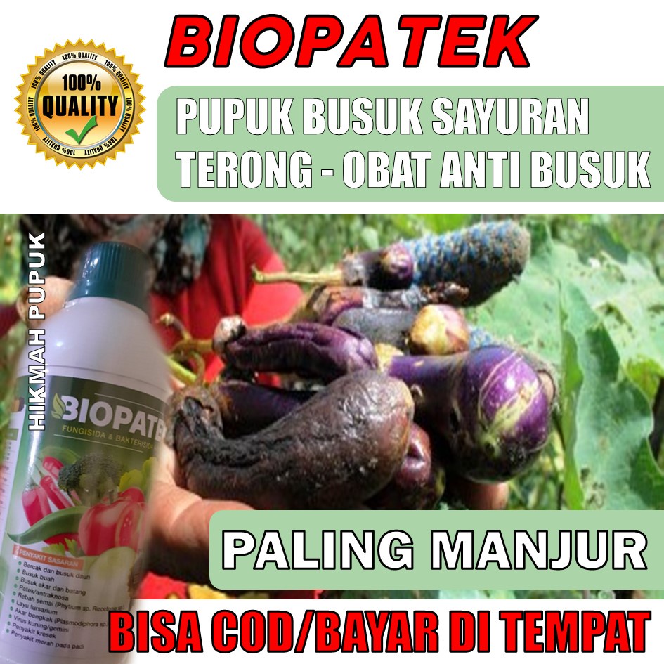 Jual LANGSUNG KIRIM Obat Hama Penyakit Terong Busuk BIOPATEK 500 ML ...