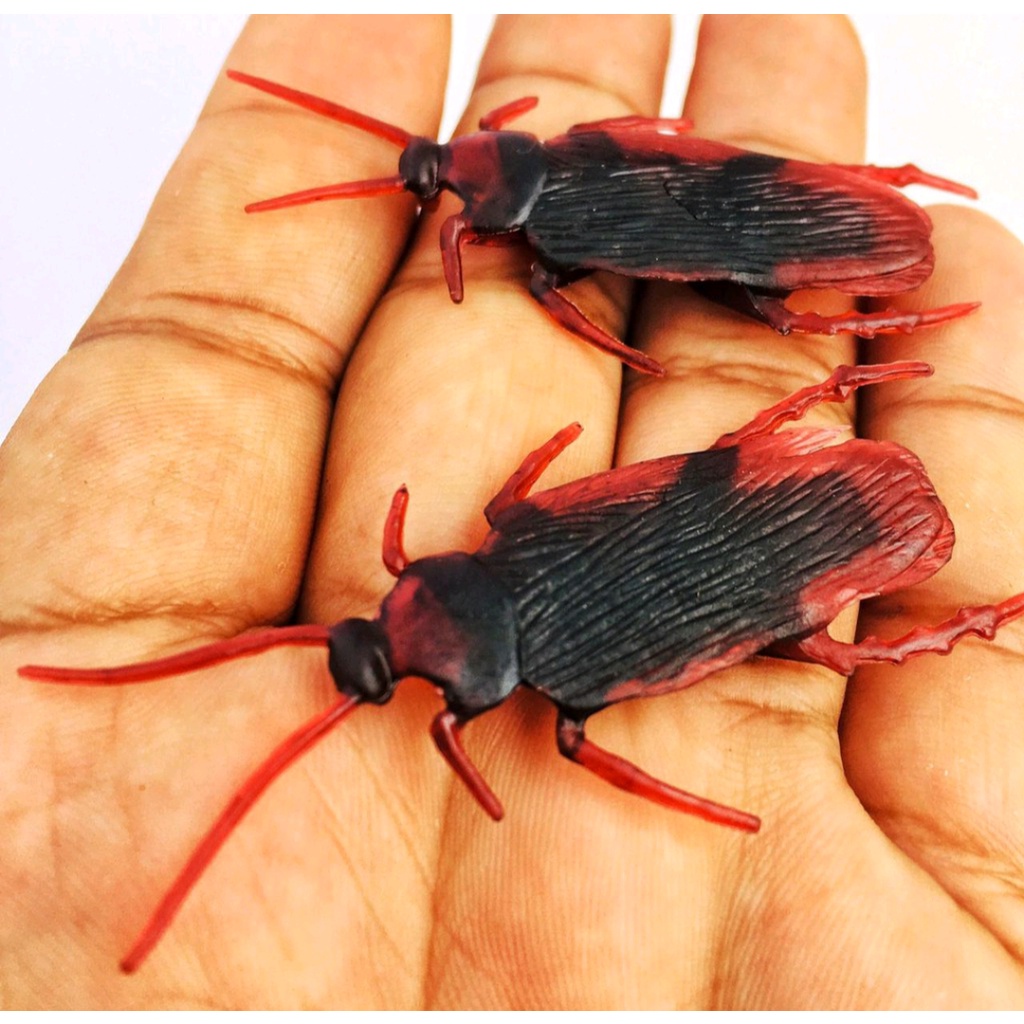 Jual Mainan Kecoa / Kecoa Kecoan / Kecoa Boongan - Zariti Store ...