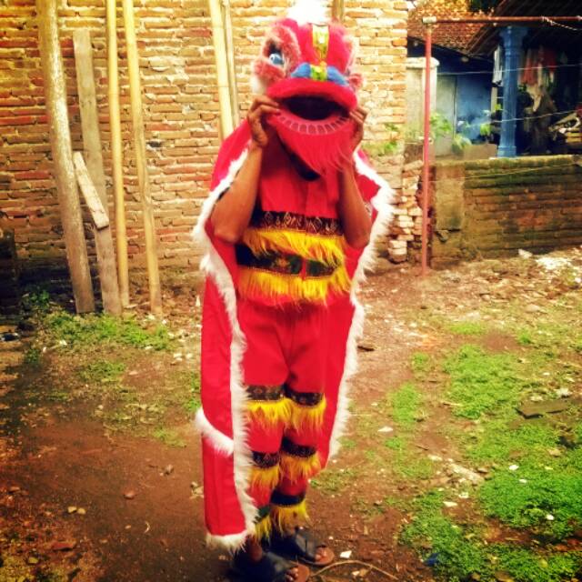 Jual Barongsai costum dewasa full set | Shopee Indonesia