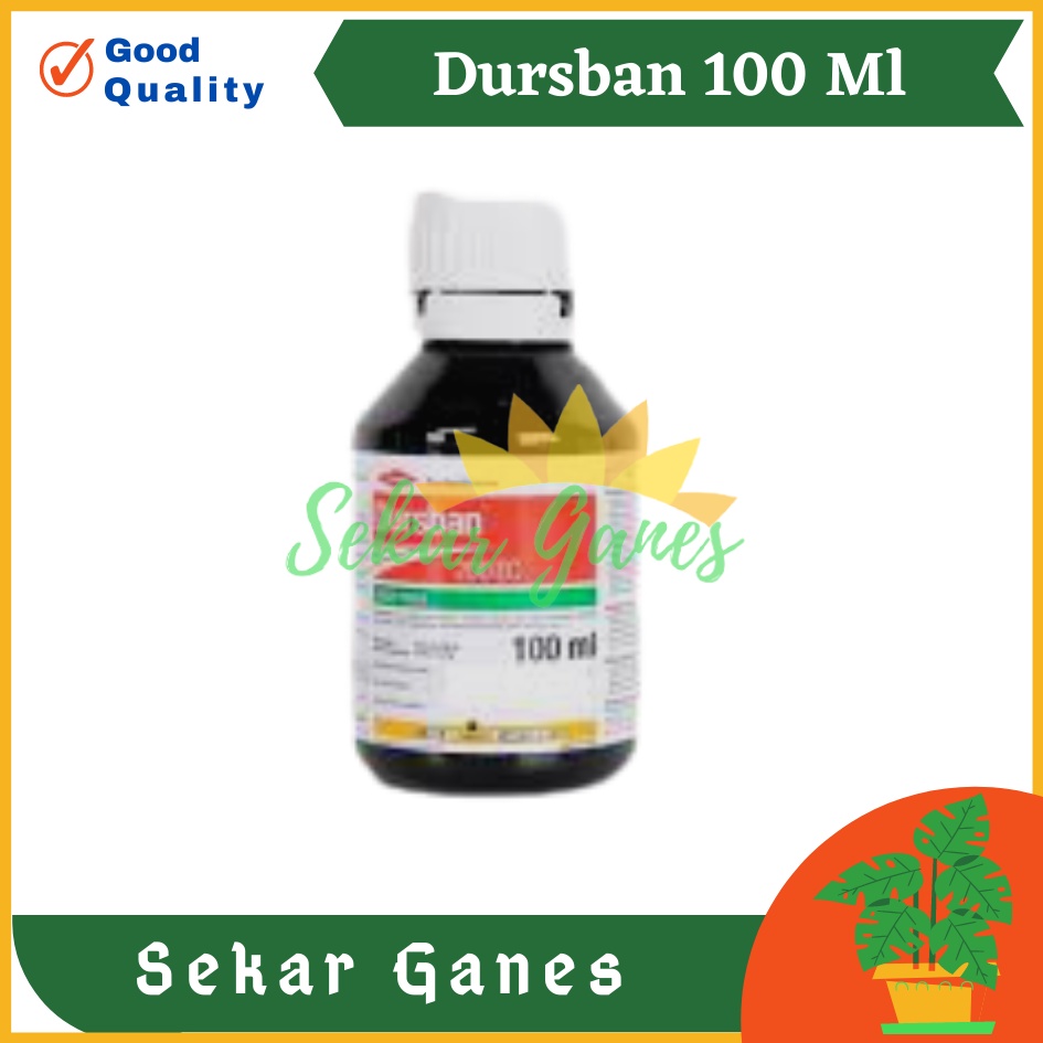 Jual Insektisida Hama Dursban 200ec 100ml Obat Hama Tanam Pembunuh ...