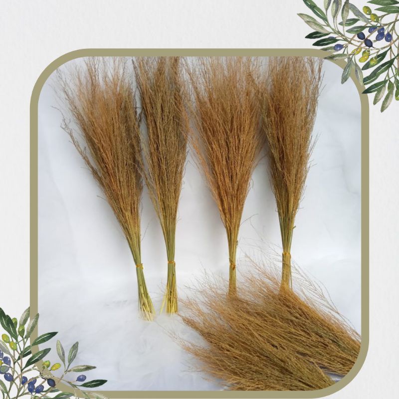 Jual Bunga ilalang lokal, bunga rustic, perikat isi 45 tangkai | Shopee ...
